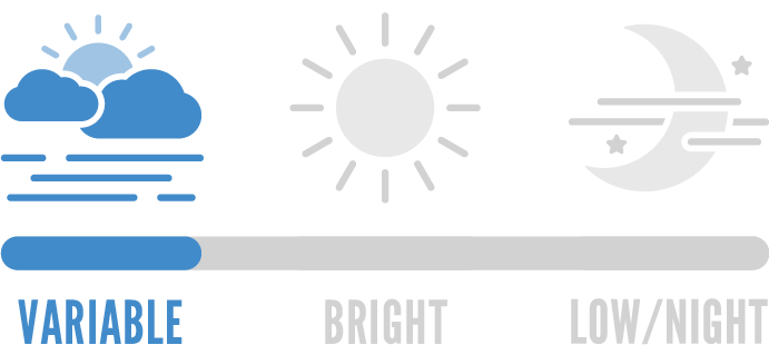 Snowboard Goggle Types: Lens Color & Goggle Type Guide | Tactics