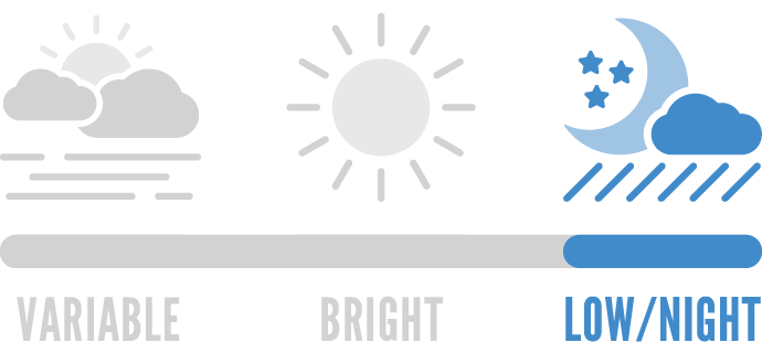 Snowboard Goggle Types: Lens Color & Goggle Type Guide | Tactics